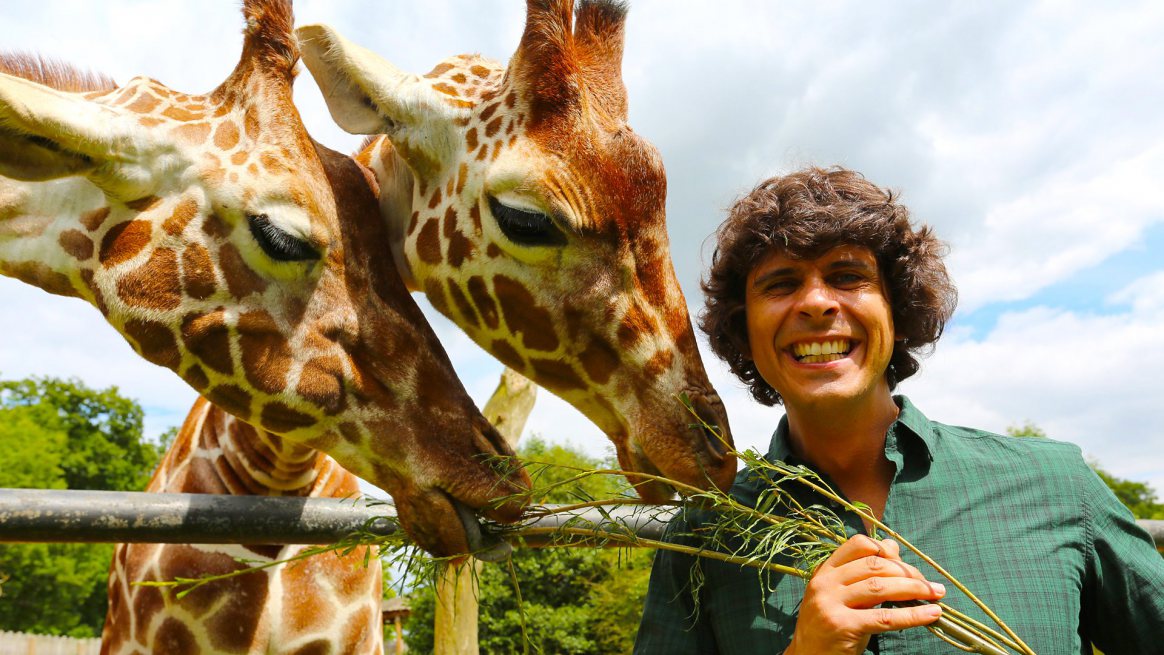 Canal Panda estrena la serie de la BBC Andy´s Baby Animals - Neeo ...
