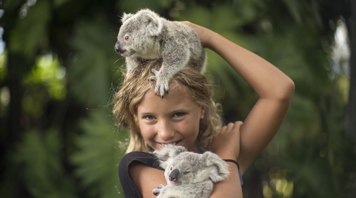 Discovery Channel estrena la segunda temporada de Dodo Héroes - Neeo ...