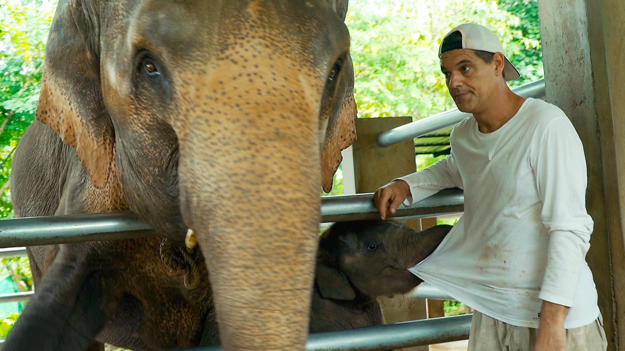 wild-frank - Neeo | Todo sobre medios de comunicación en España