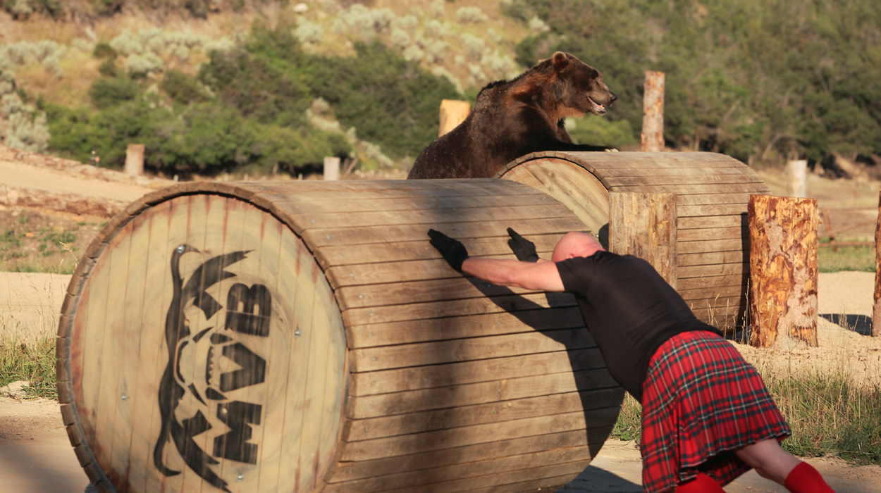 "Man vs Bear", la competición entre osos y hombres llega a Discovery ...