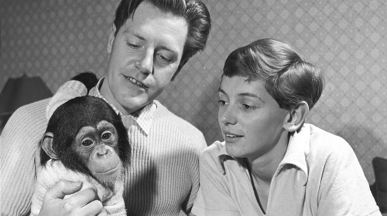 Movistar Seriesmanía estrena el documental '¿Qué fue de los Durrell ...